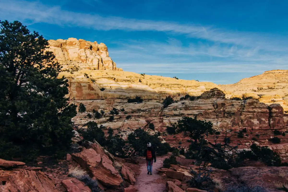 8 of the Best hikes in Capitol Reef National Park - Hello Hiker
