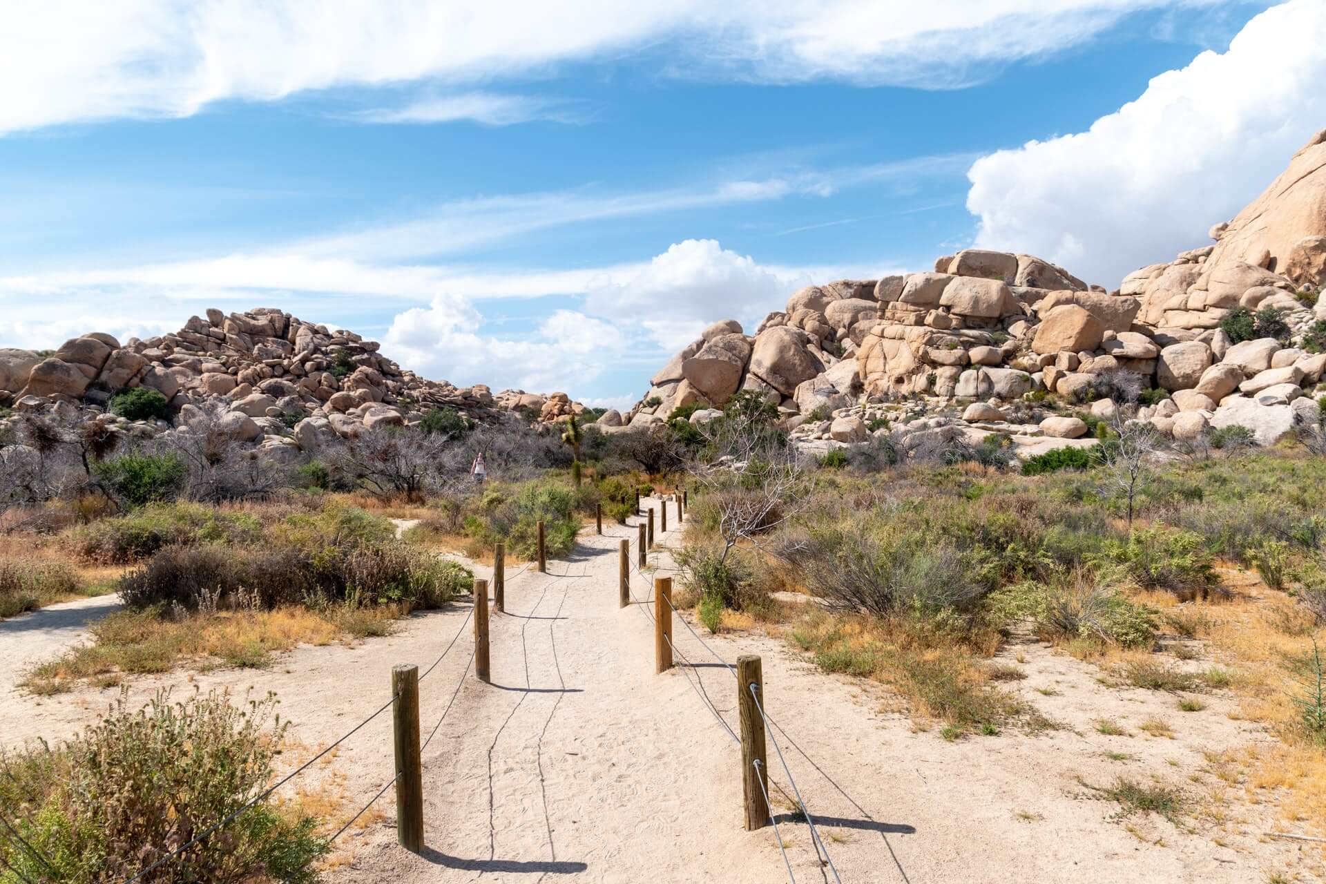 8 Short and Easy Hikes in Joshua Tree National Park - Hello Hiker