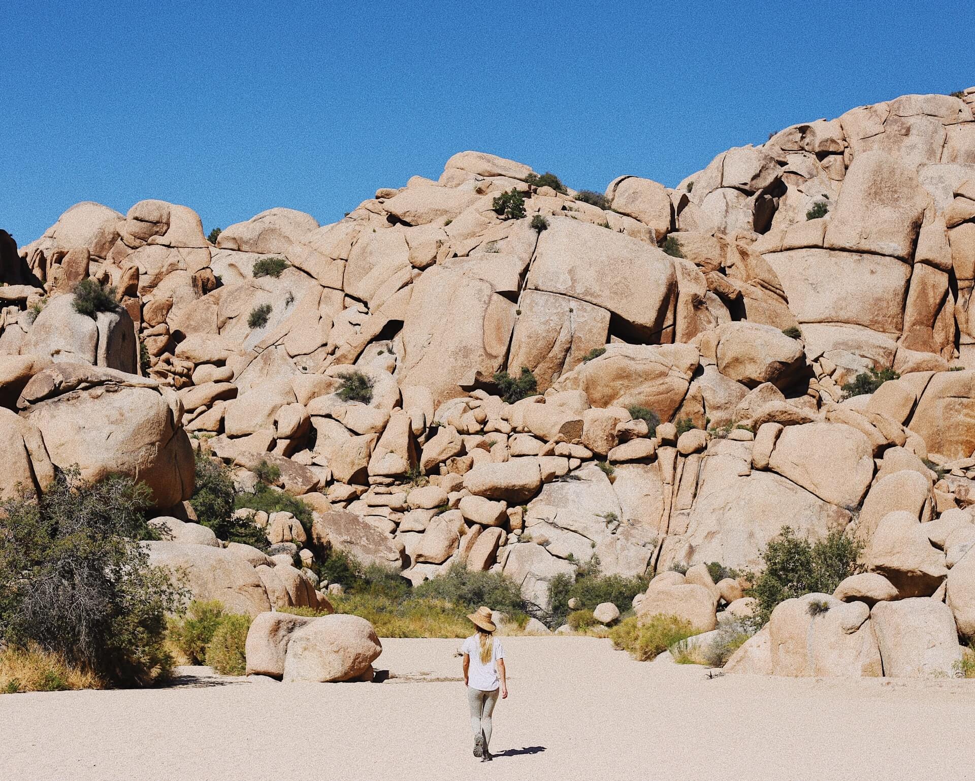 8 Short and Easy Hikes in Joshua Tree National Park - Hello Hiker